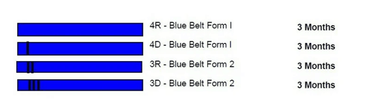Sidekicks Blue Belt Form - San Diego Sidekicks Martial Arts Academy ...